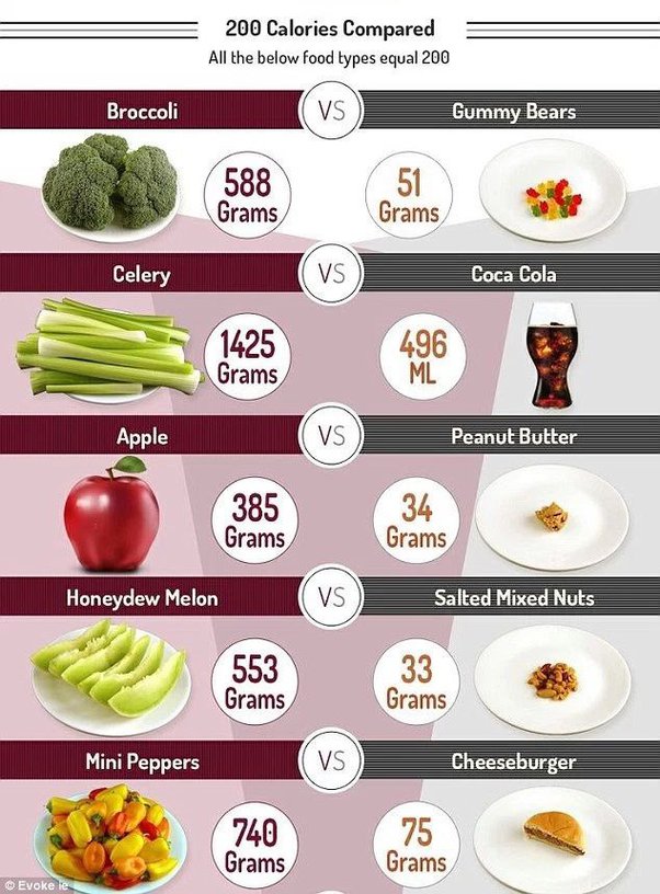Can you eat anything as long as it fits your calories?