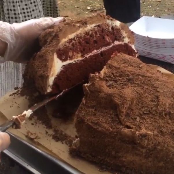 Can you eat brisket with a cake?