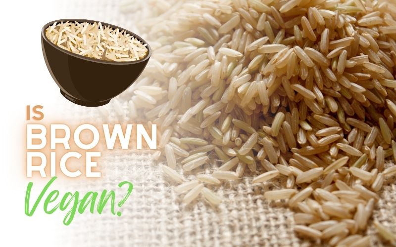 Can you eat brown rice on plant-based diet?