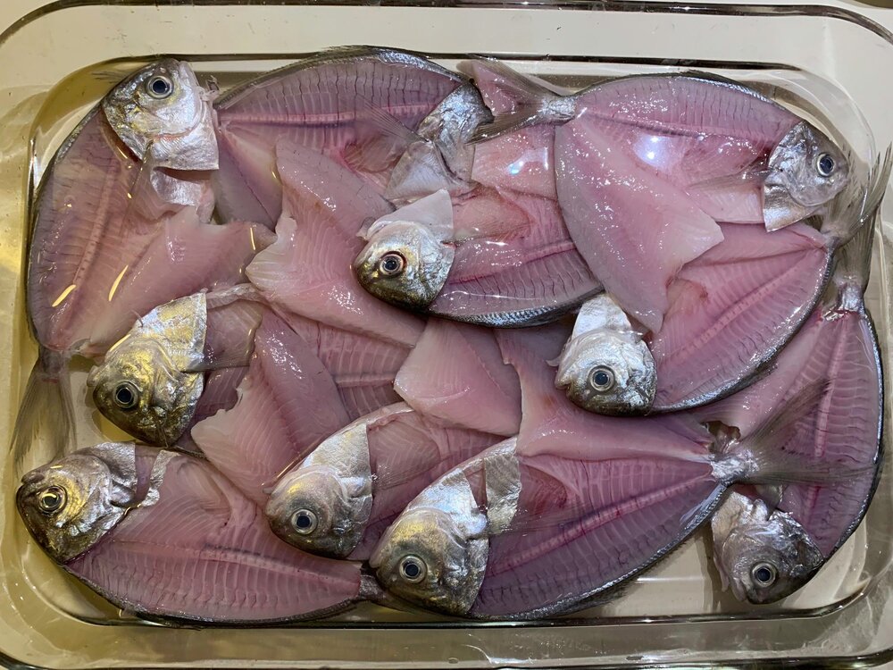 Can you eat butterfish?