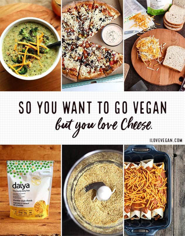 Can you eat cheese if you're plant-based?