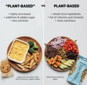 Can you eat cheese on plant-based diet?
