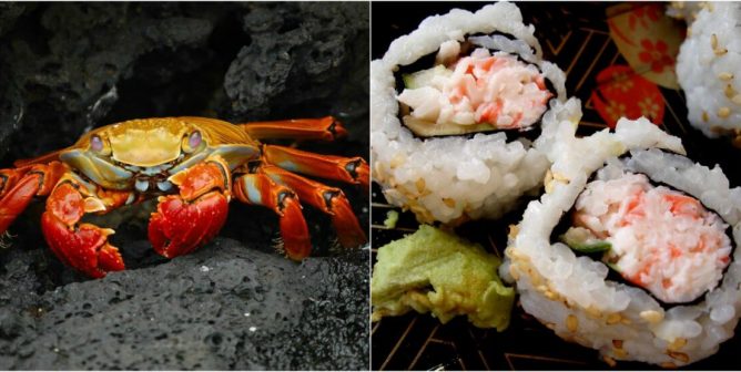 Can you eat crab if you're a vegetarian?
