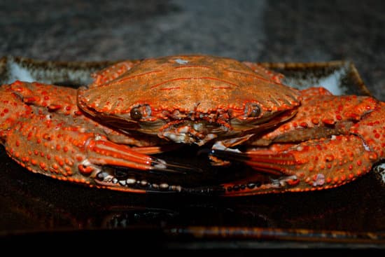 Can you eat crab out of the can?