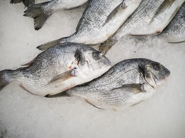Can you eat fish frozen for 2 years?