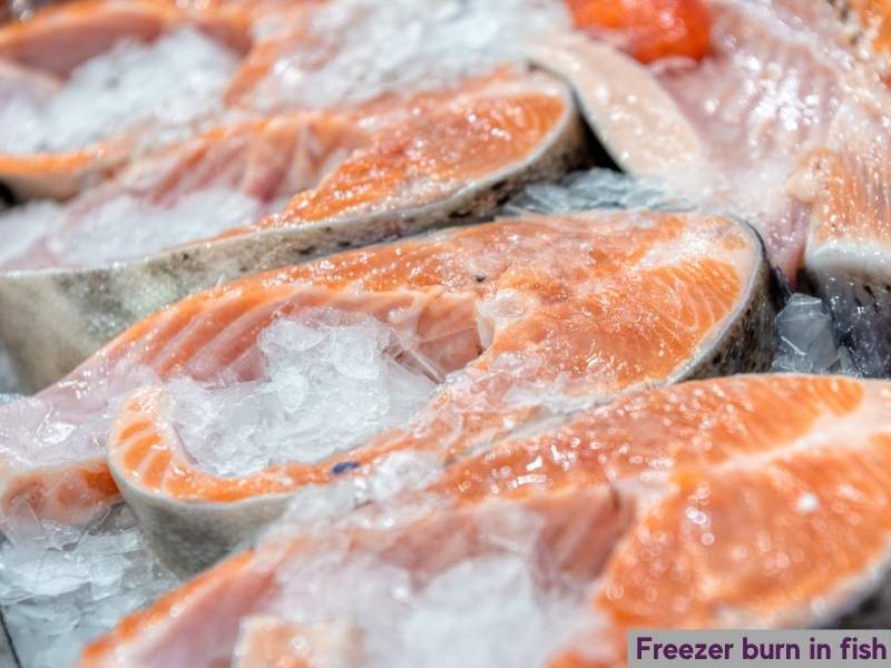 Can you eat fish that is freezer burnt?
