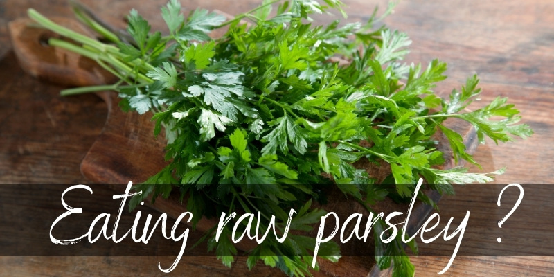 Can you eat fresh parsley raw?