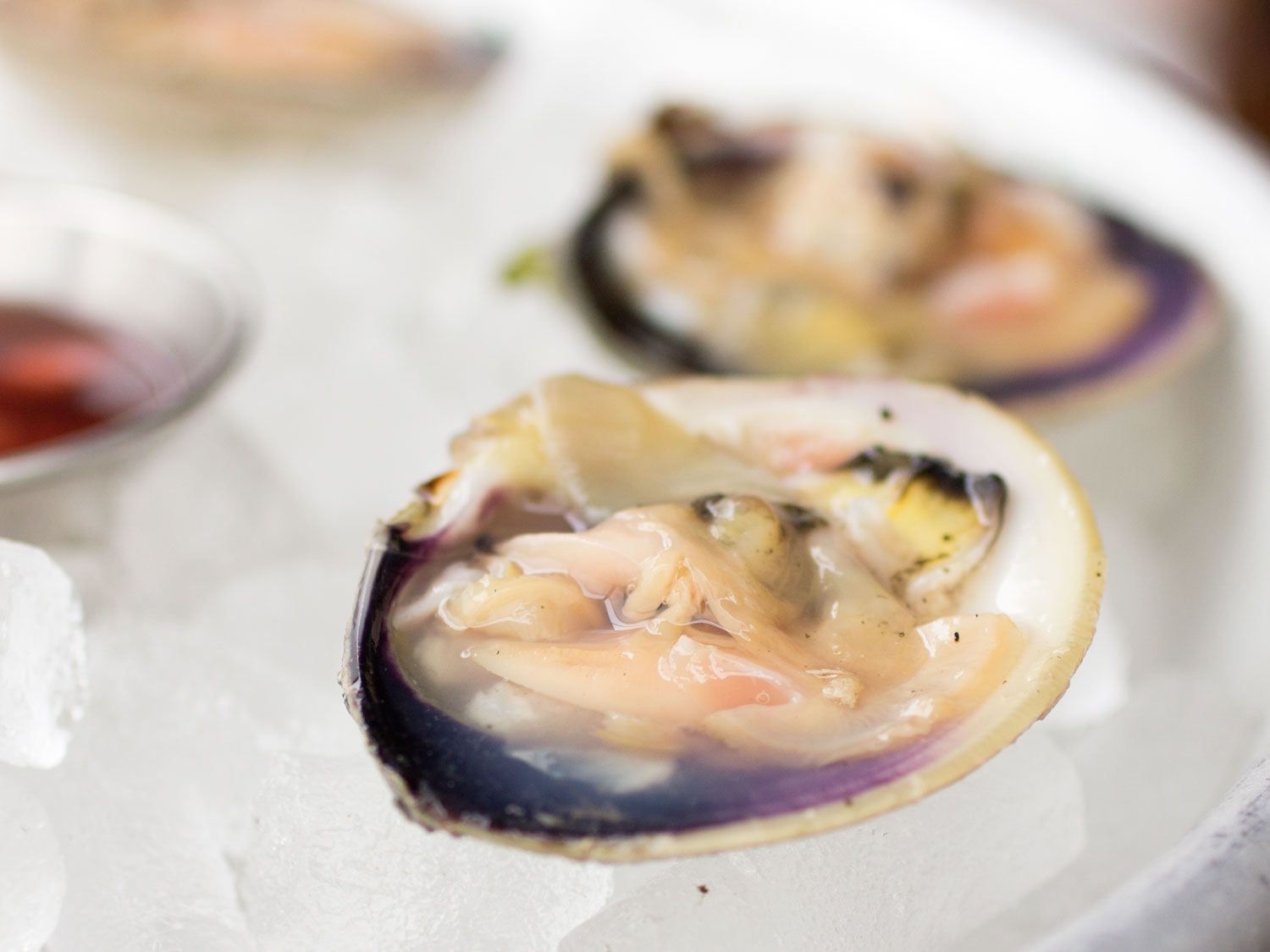 Can you eat fresh raw clams?