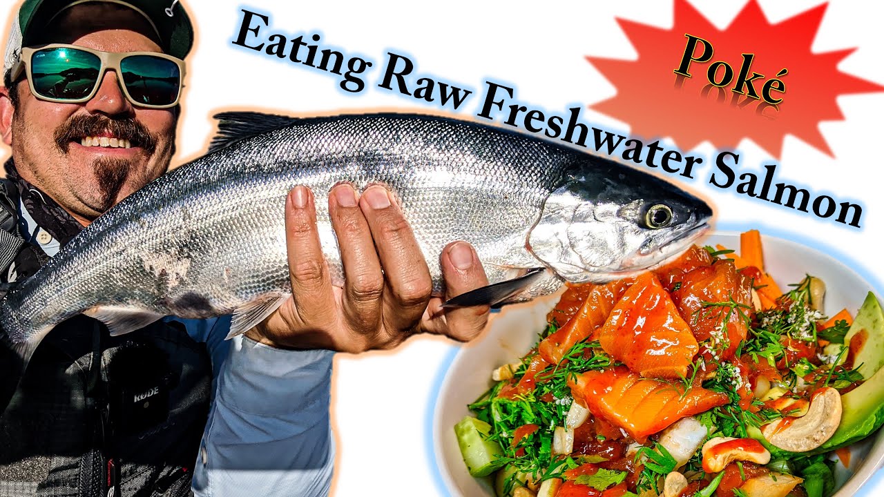 Can you eat kokanee raw?