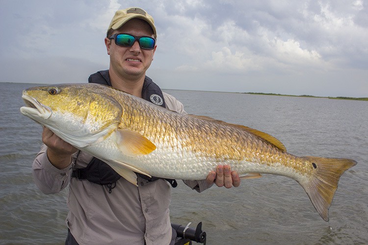 Can you eat large redfish?