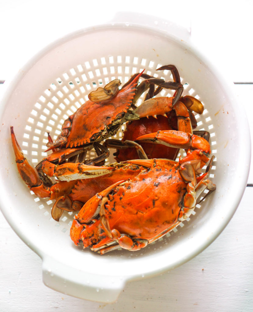 Can you eat leftover steamed crabs?