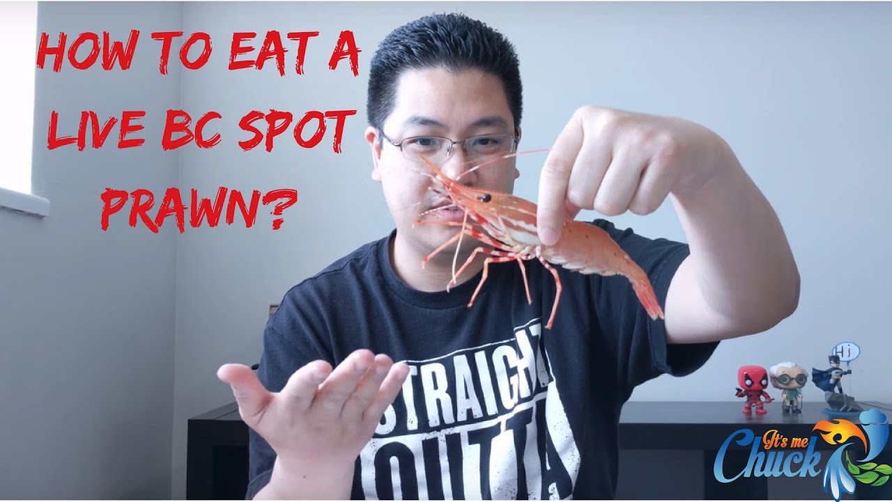 Can you eat live spot prawn?