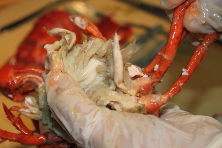 Can you eat lobster gills?