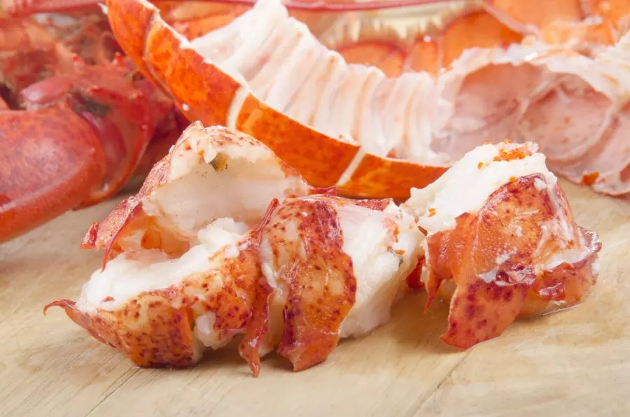 Can you eat lobster leftover?
