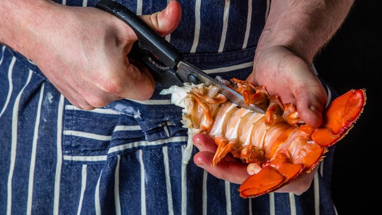 Can you eat lobster tail shell?