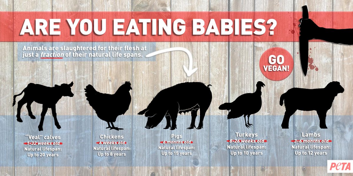 Can you eat meat and be in PETA?