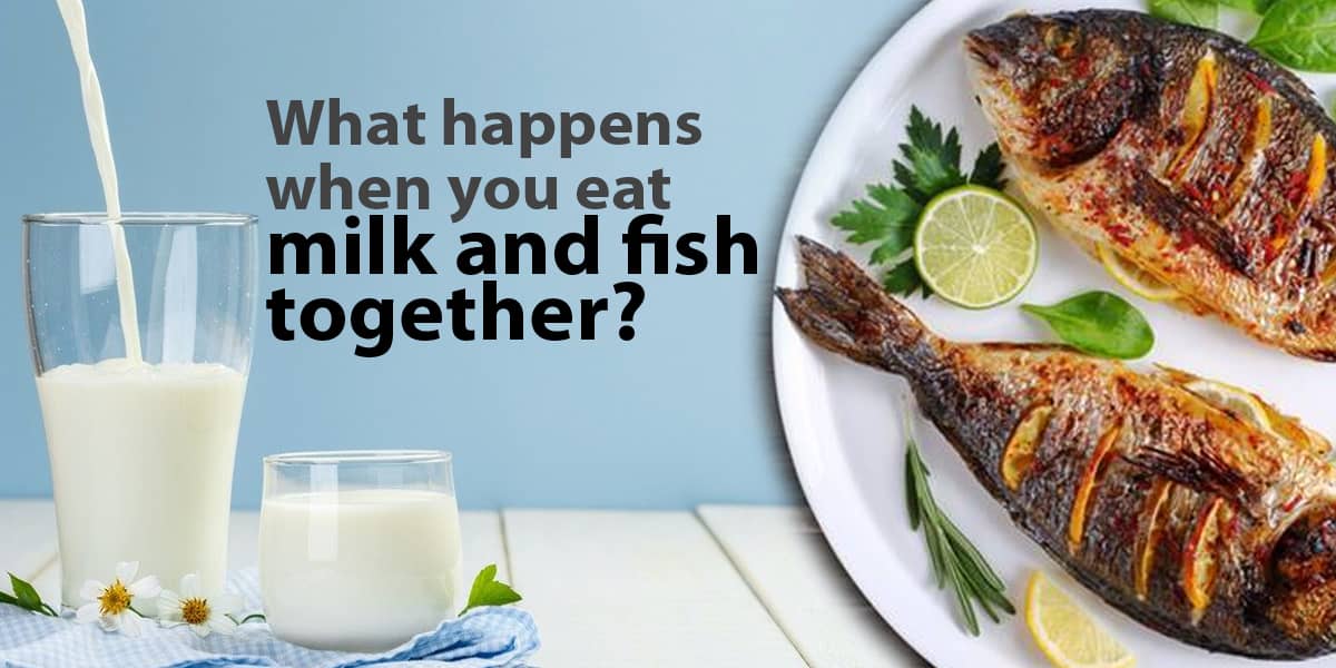 Can you eat milk and fish?