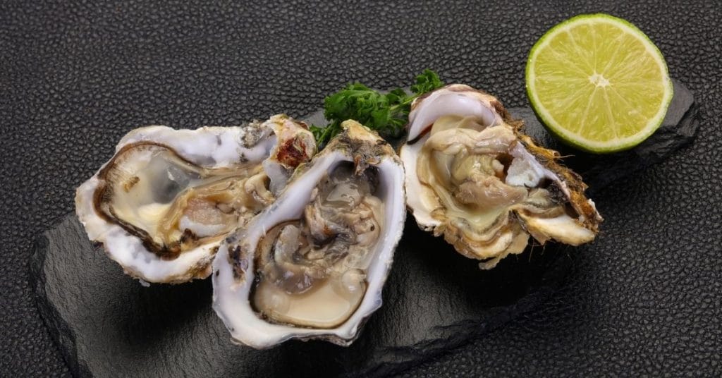 Can you eat oysters from frozen shell?