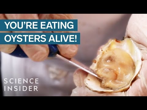 Can you eat oysters if they are open?