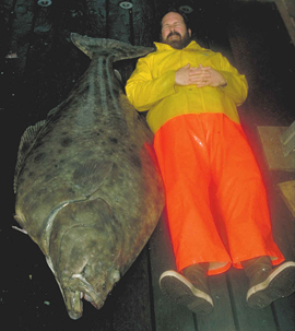 Can you eat Pacific halibut?