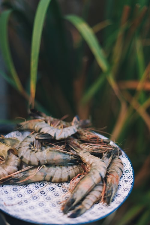 Can you eat prawns day after use-by date?