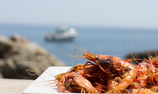 Can you eat prawns straight from the sea?