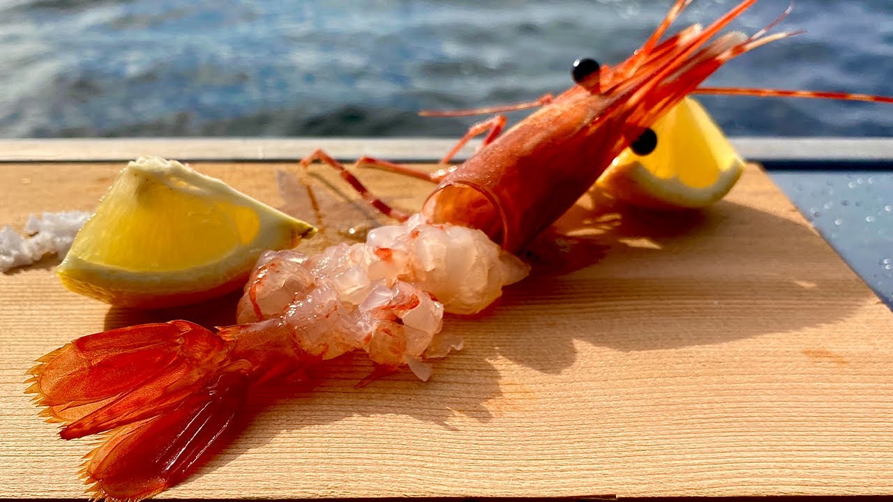 Can you eat raw spot prawn?