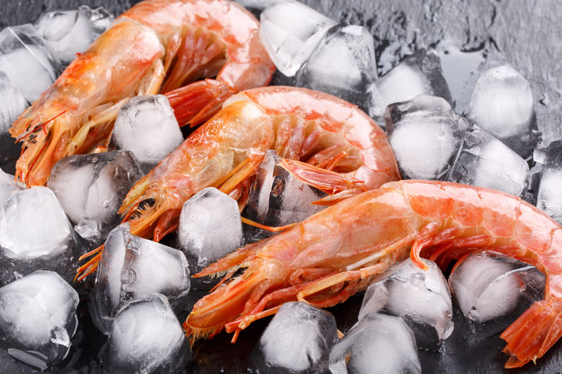 Can you eat red shrimp?