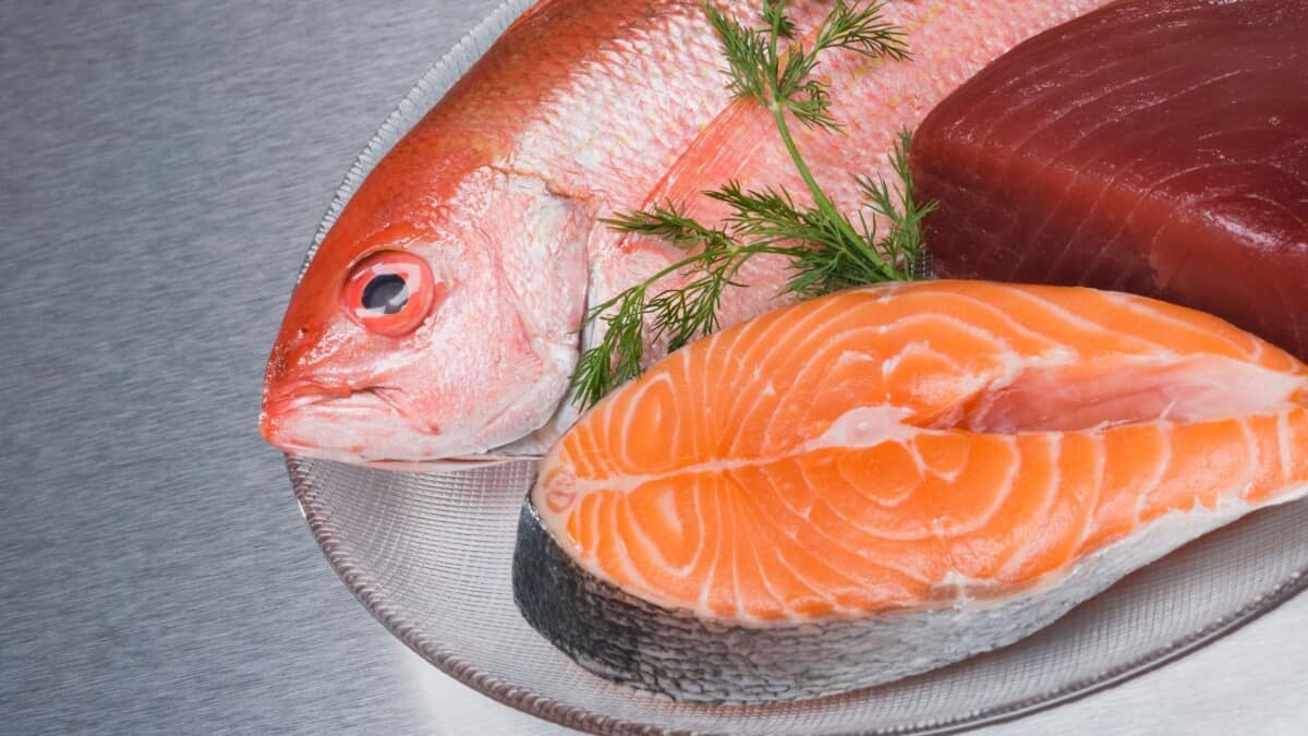 Can you eat salmon straight from the ocean?