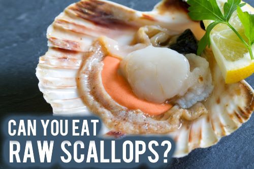 Can you eat slightly undercooked scallops?