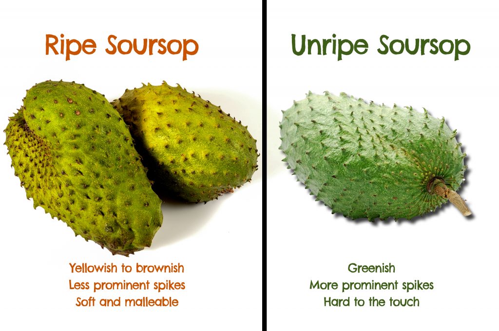 Can you eat soursop raw?