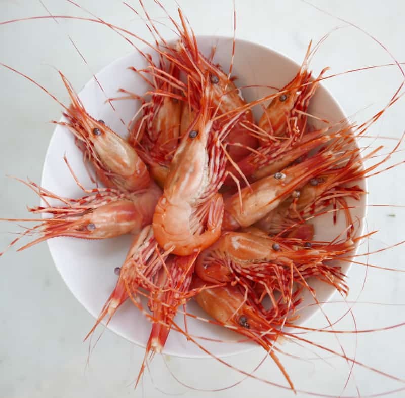Can you eat spot prawns on the same day?