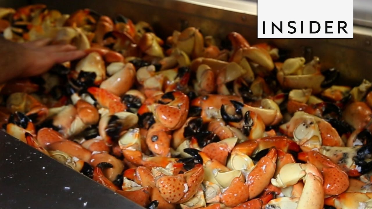 Can you eat stone crab?