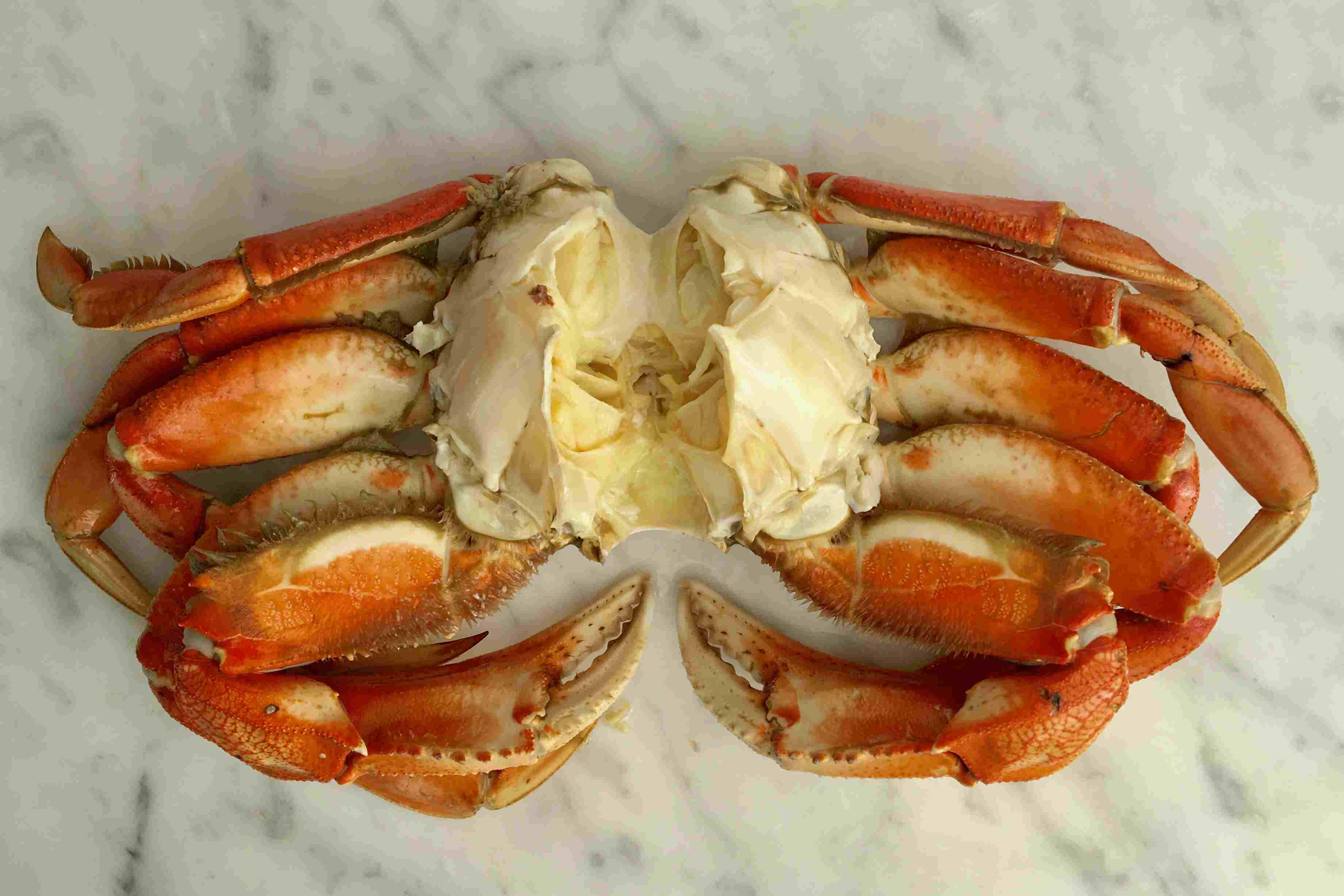 Can you eat the body of a snow crab?