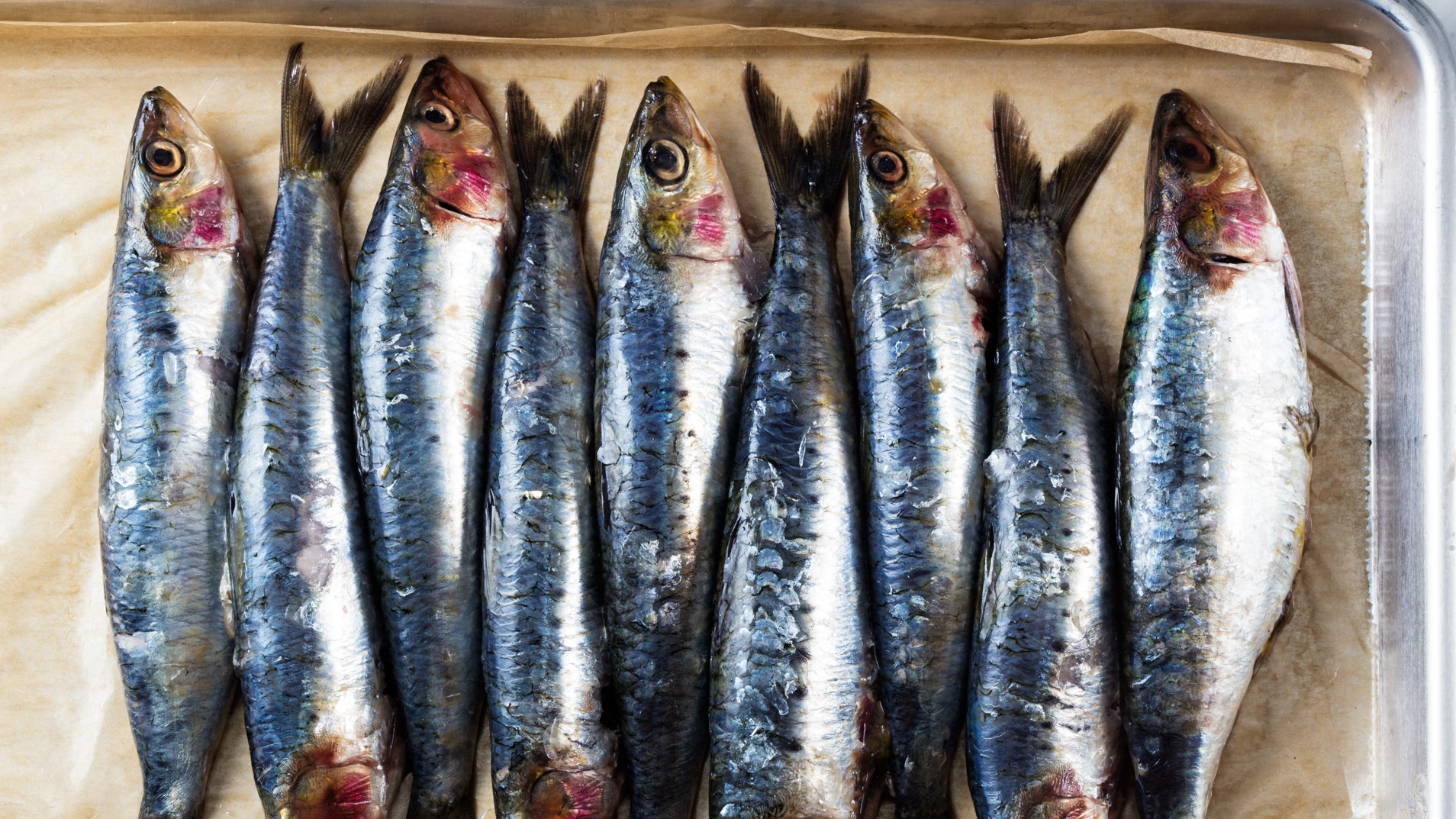 Can you eat the bones in sardines?