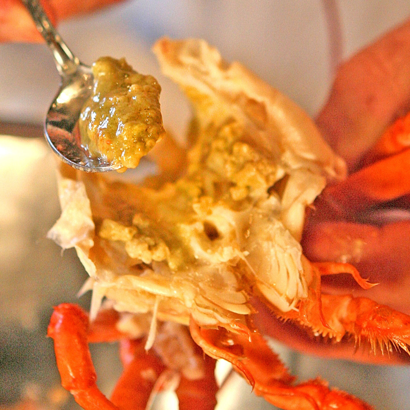 Can you eat the green stuff from a live lobster?