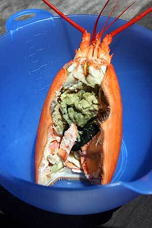 Can you eat the GREY part of lobster?