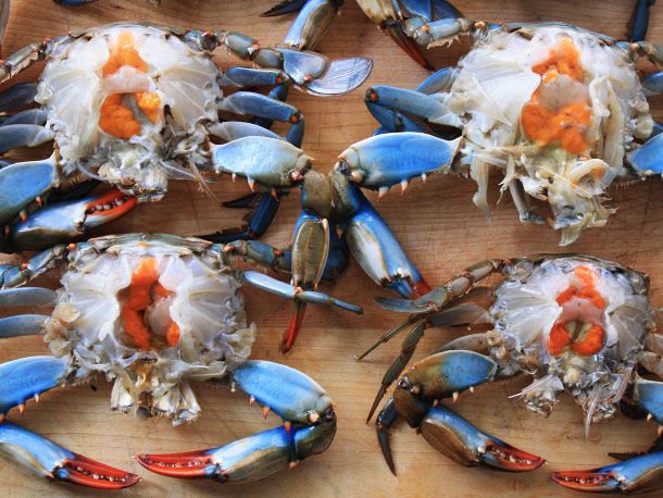 Can you eat the guts of blue crab?