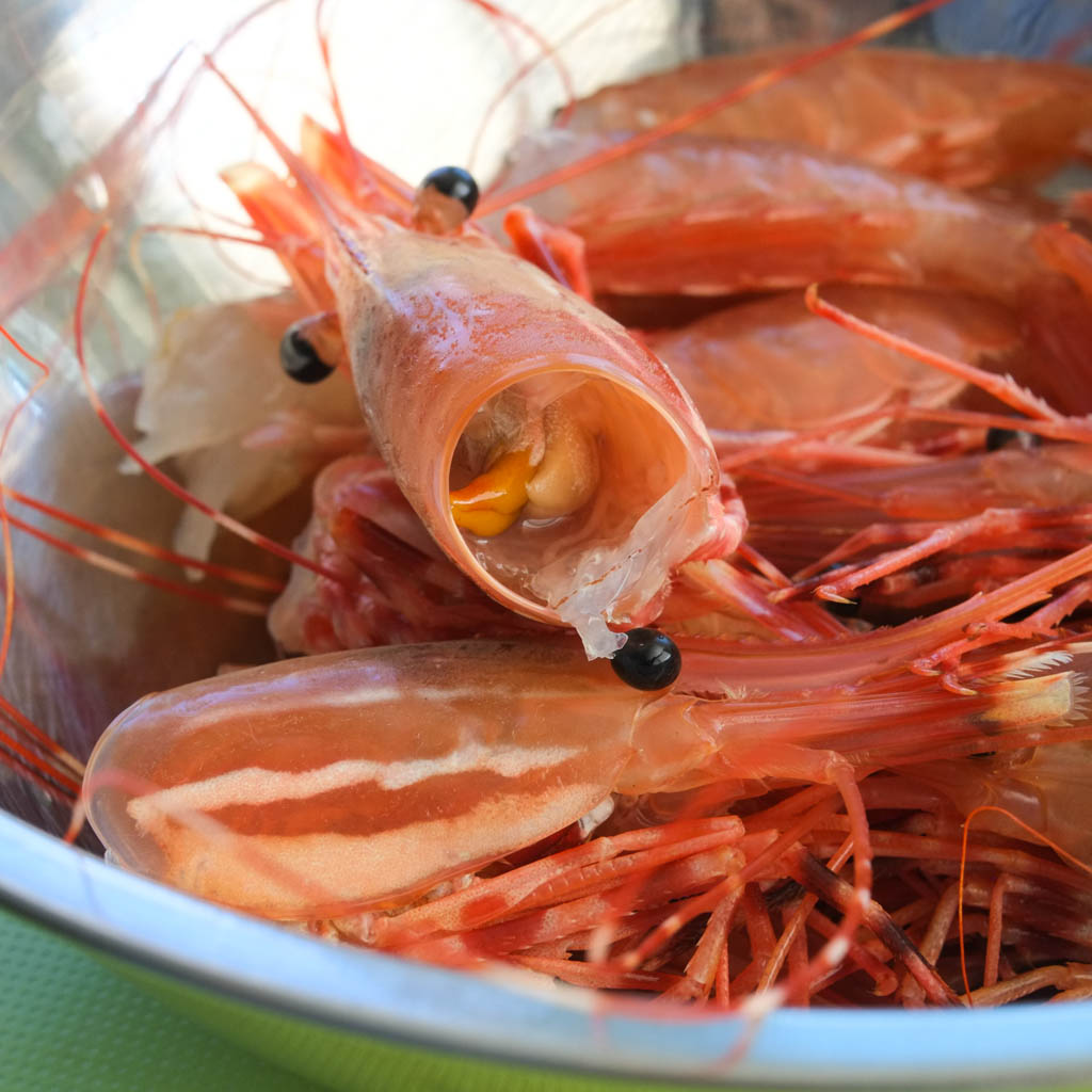 Can you eat the heads of spot prawns?