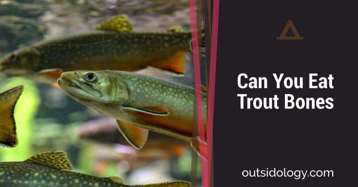 Can you eat the little bones in trout?