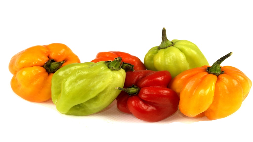 Can you eat the peppers in Jamaican food?