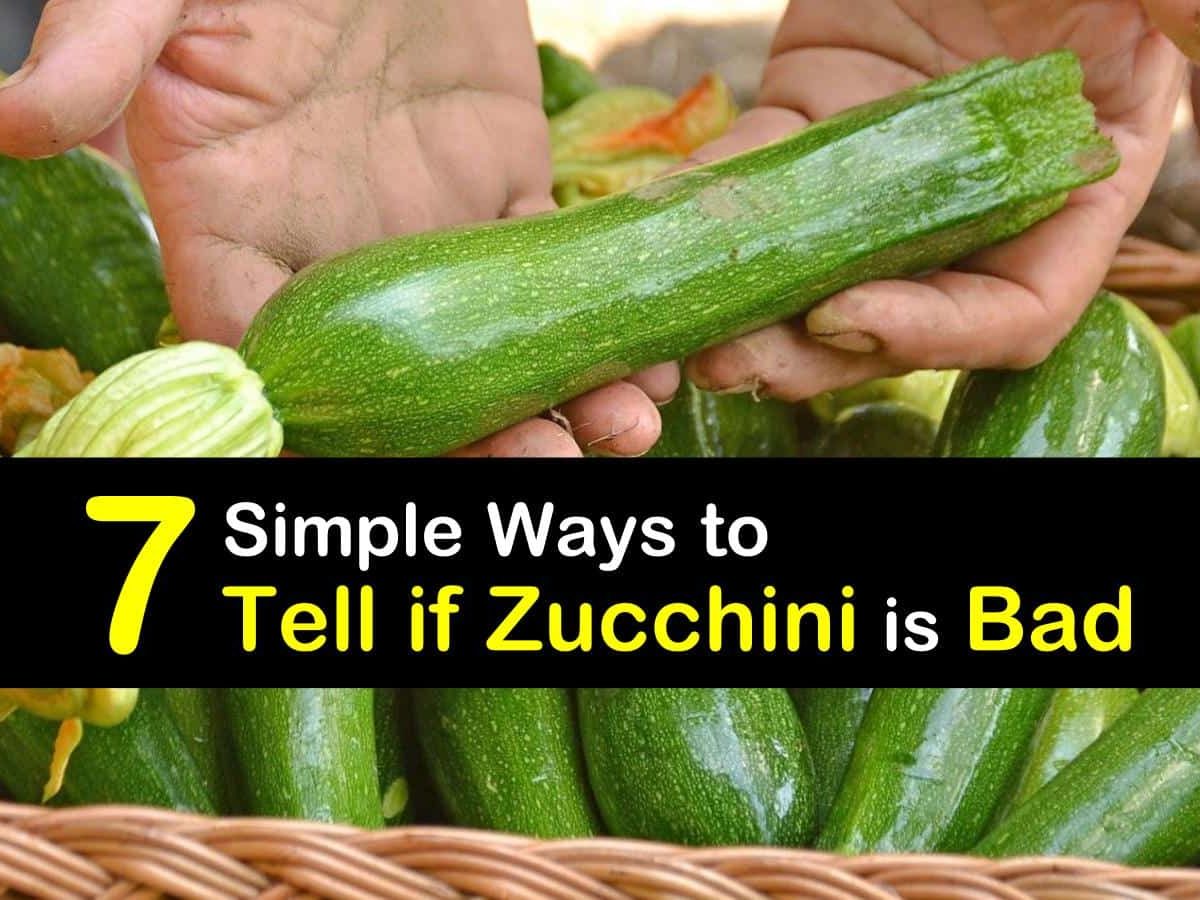 Can you eat the seeds in a zucchini?