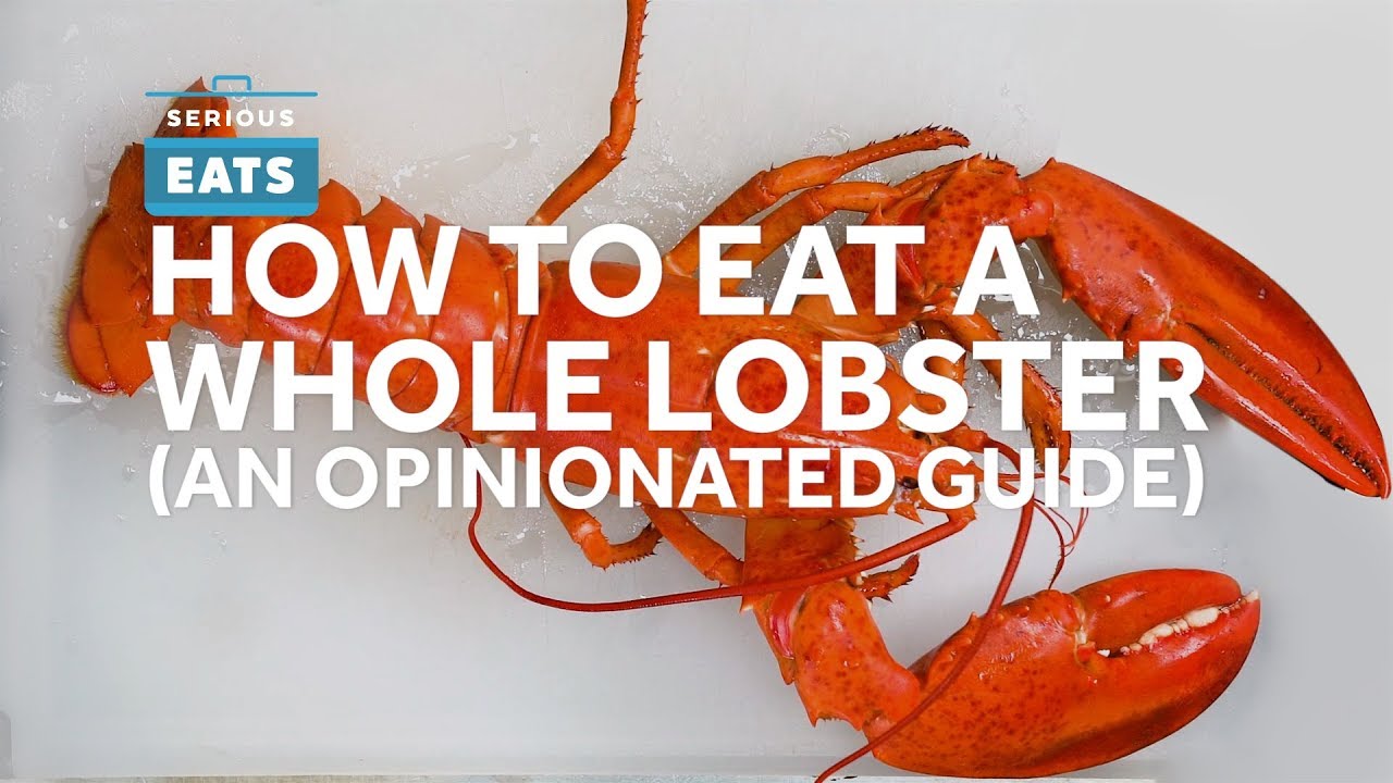 Can you eat the shell of lobster?