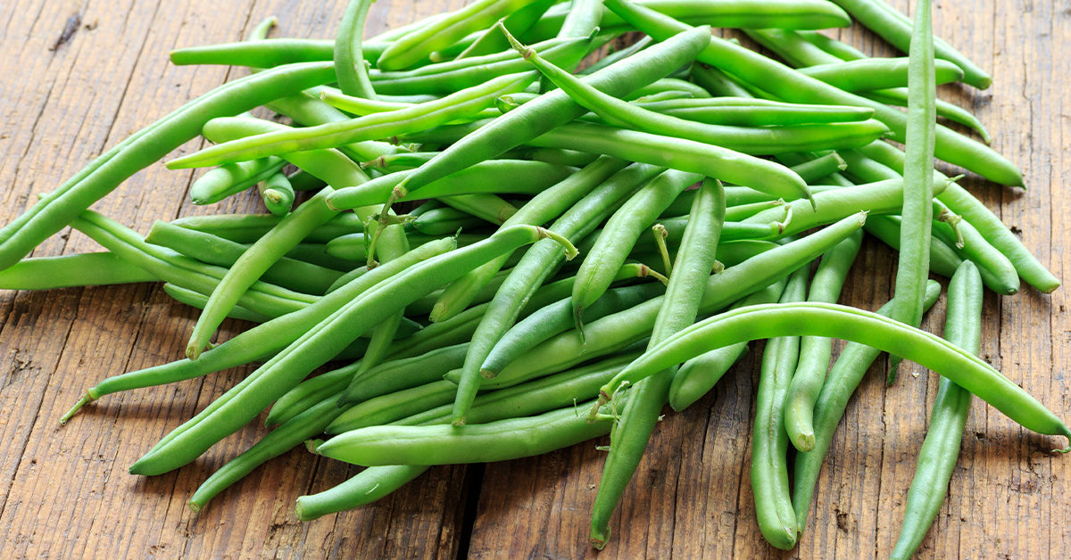Can you eat too many cooked green beans?