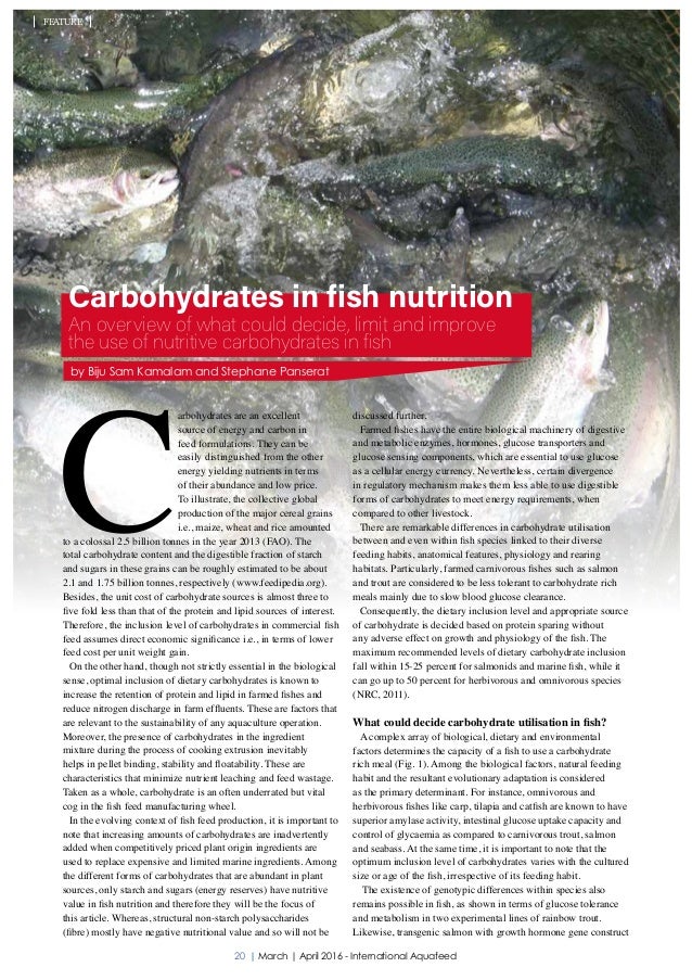 Can you find carbohydrates in fish?