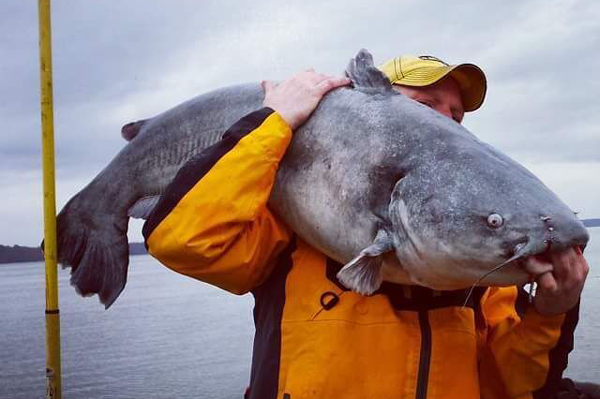 Can you fish for catfish in the cold?