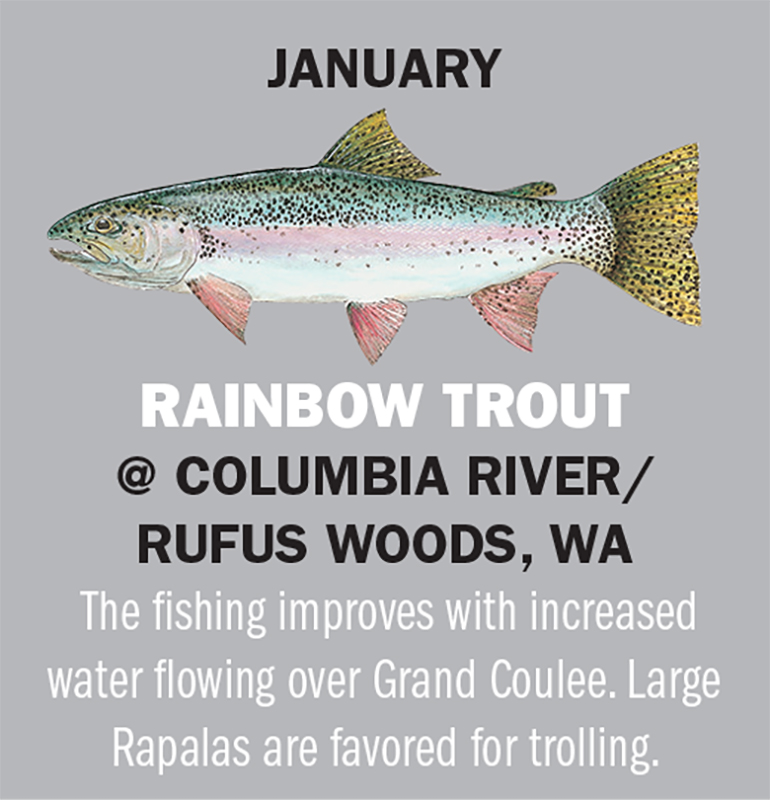 Can you fish for trout all year-round in Washington?