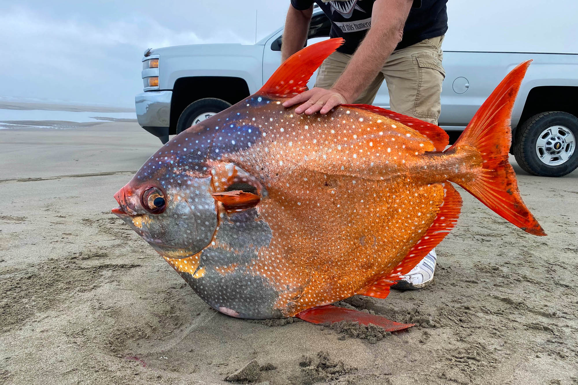 Can you fish from the beach in Oregon?