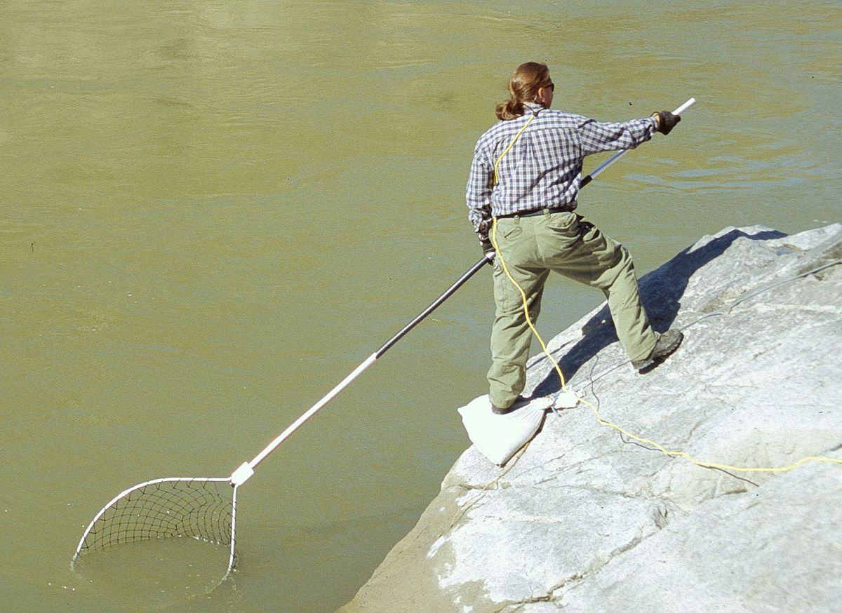 Can you fish with a hand net?