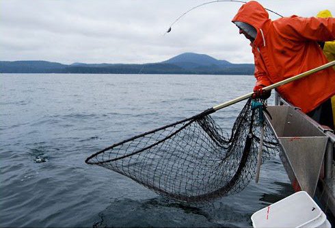 Can you fish with a net?